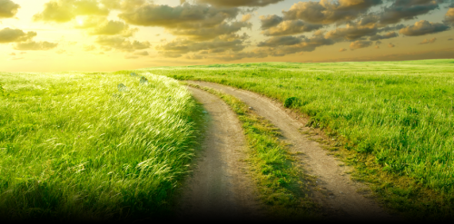The Green Pastures - UCKG HelpCentre