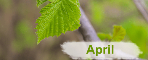 The Month of April - UCKG HelpCentre